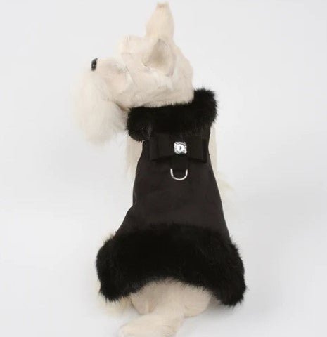 Training Your Pup To Wear Togs Bought From A Dog Clothes Store | Posh ...