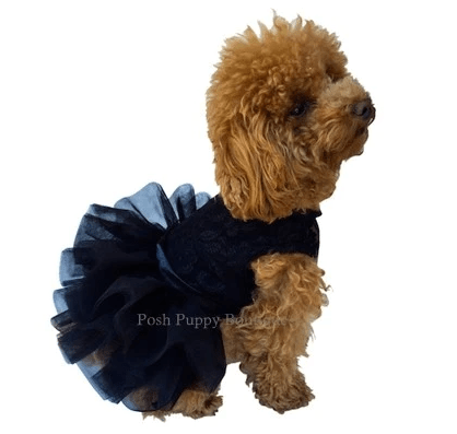 Pamper Your Pooch - Dog Clothes and Accessories – Posh Puppy Boutique
