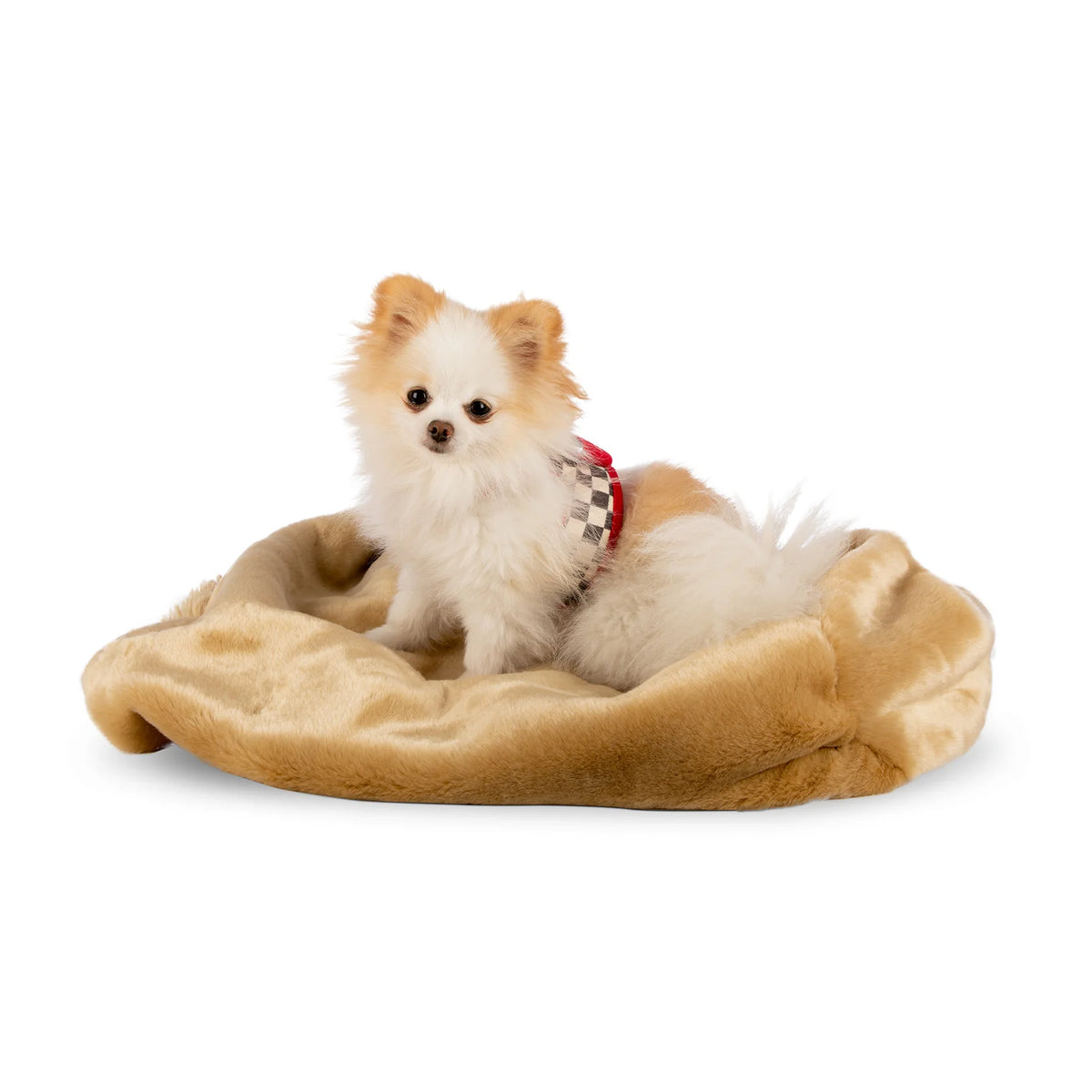 Susan Lanci Camel Smooth with Camel Shag Cuddle Cup – Posh Puppy ...