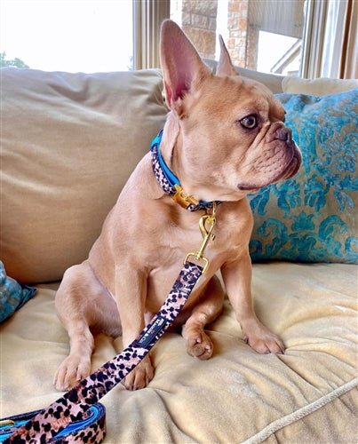 "Exotic" Collar – Posh Puppy Boutique USA | Luxury Dog Clothes ...