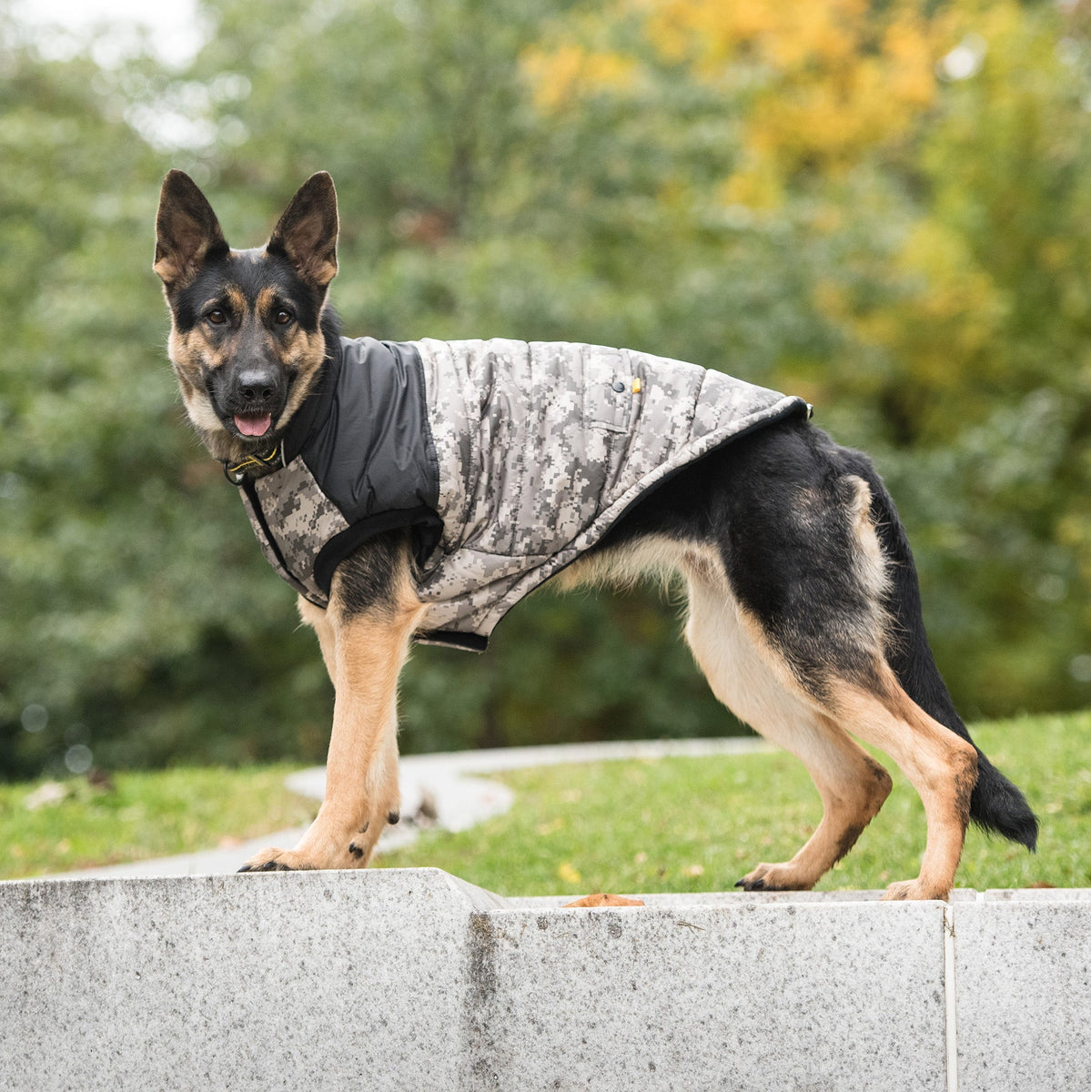 US Army Dog Jacket - Camo – Posh Puppy Boutique