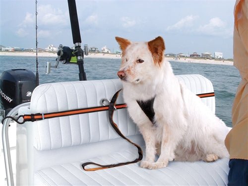 Auto Zip Line with Leash & Tether - Black-Orange - Posh Puppy Boutique