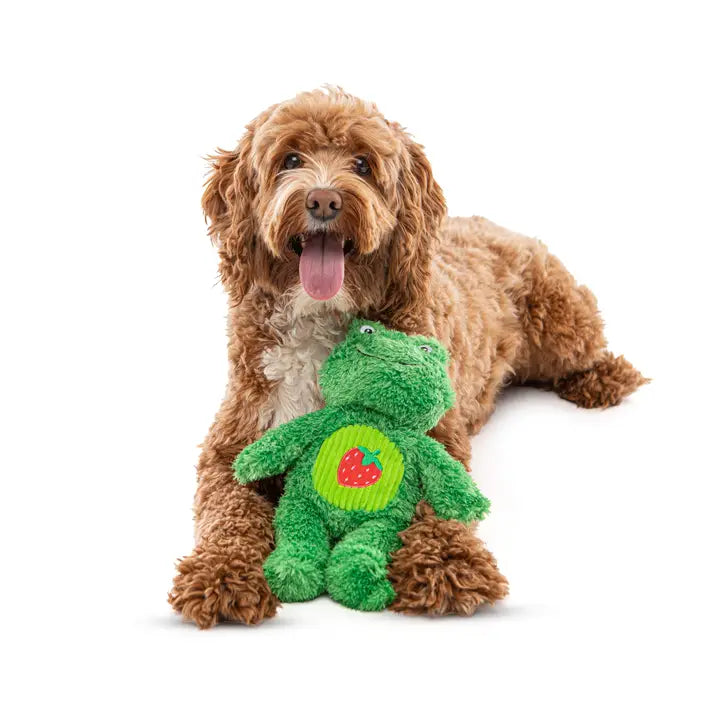 Guru Pet Scents Frog Plush Dog Toy – Posh Puppy Boutique USA | Luxury ...