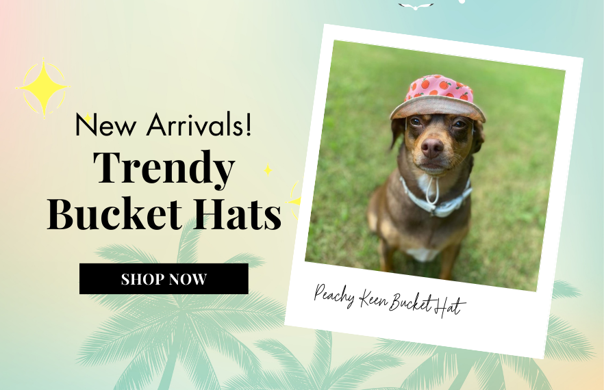 Luxury Dog Boutique - Dog Clothes Accessories Posh Puppy Boutique