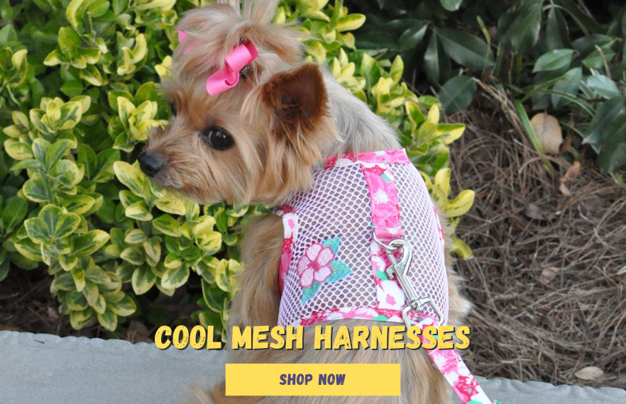 Luxury Dog Boutique - Dog Clothes Accessories Posh Puppy Boutique