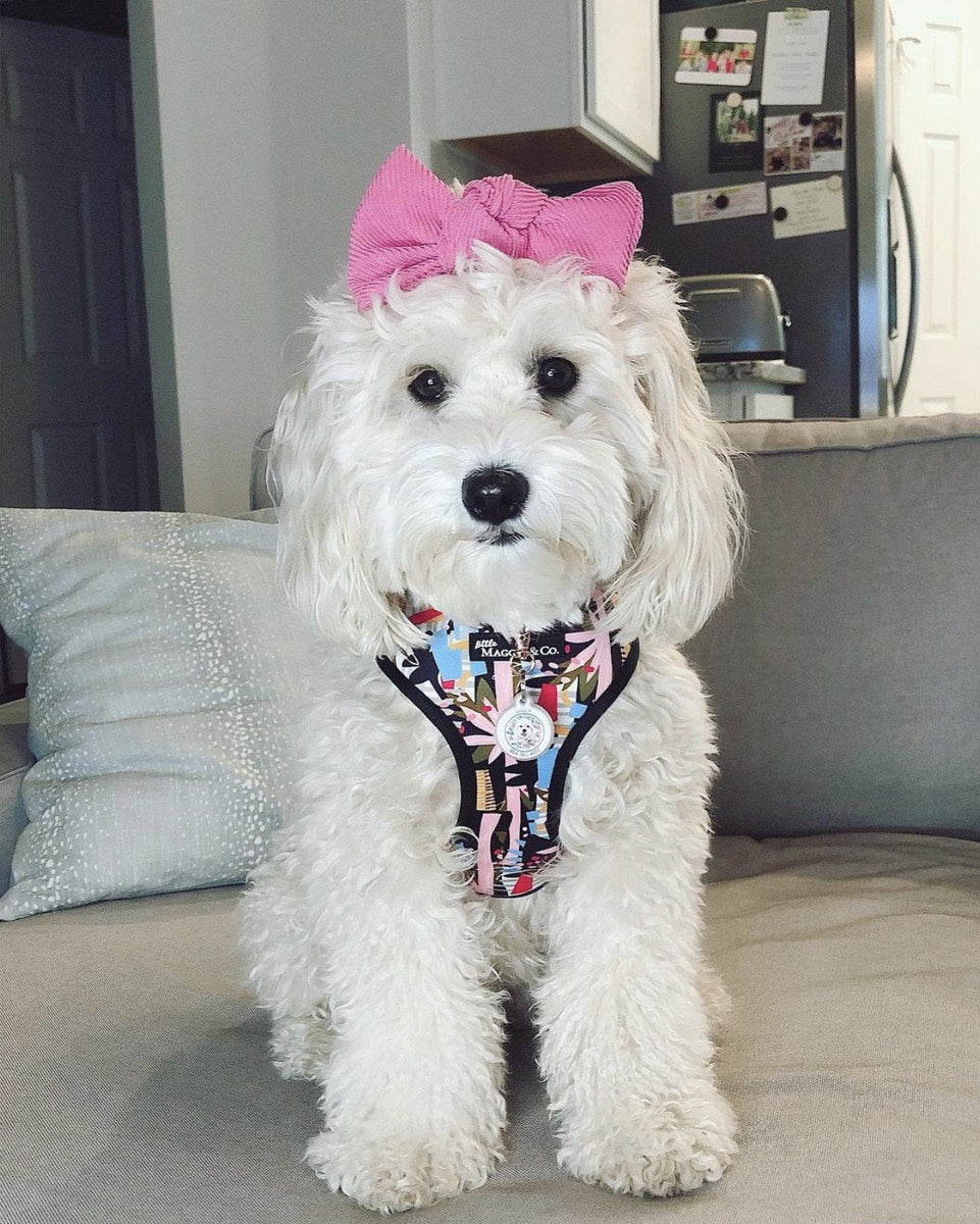 Corduroy Hair Bow - Rosy - Posh Puppy Boutique