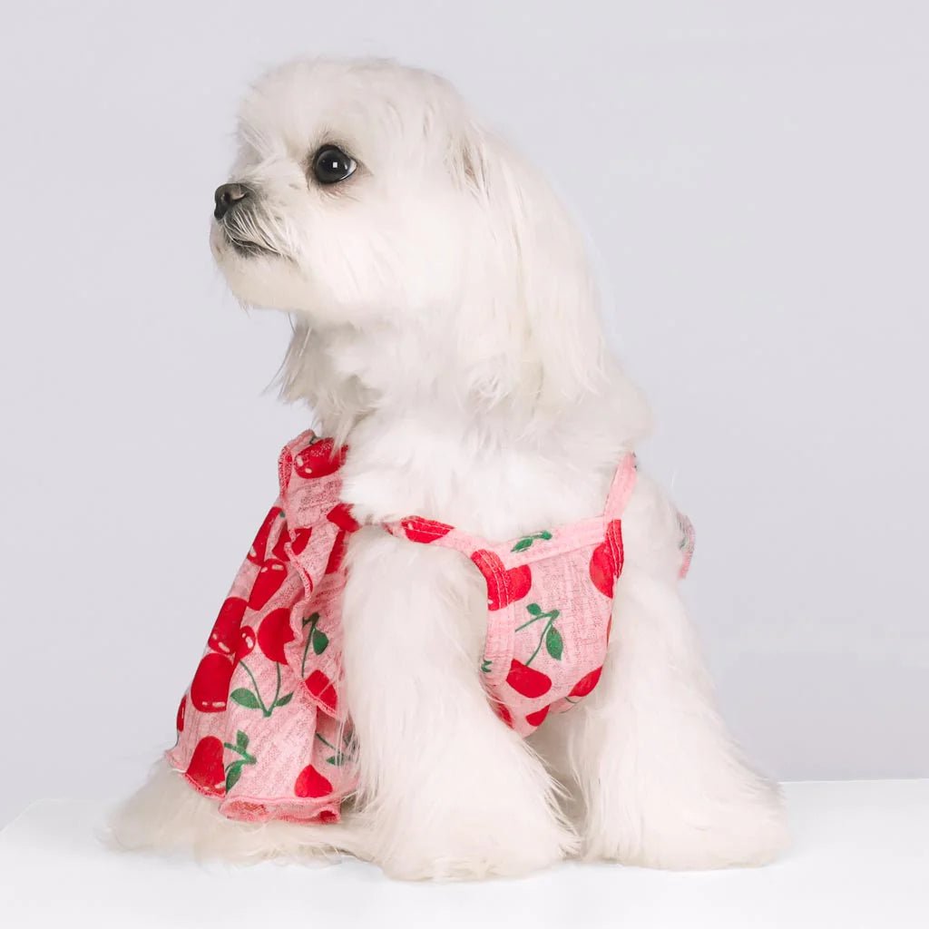 Cute Cherry Dog Dress - Posh Puppy Boutique