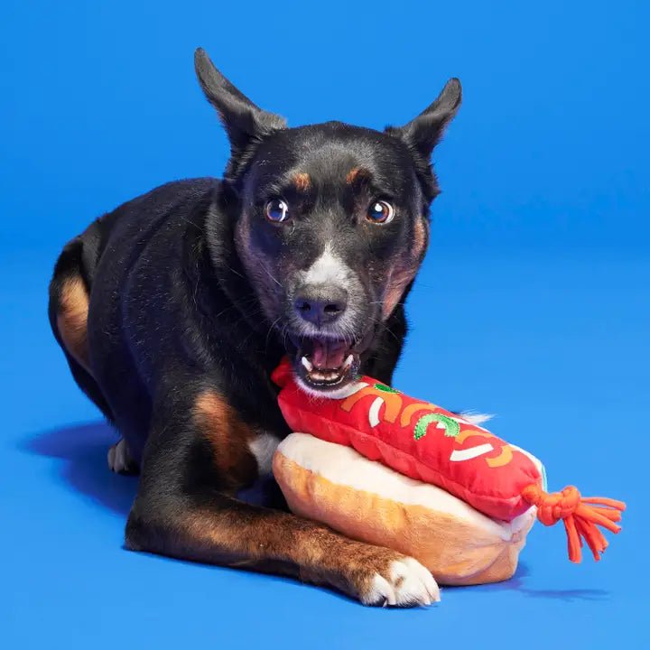 BARK Everything Dog Fourth of July Bbq Plush Dog Toy – Posh Puppy ...