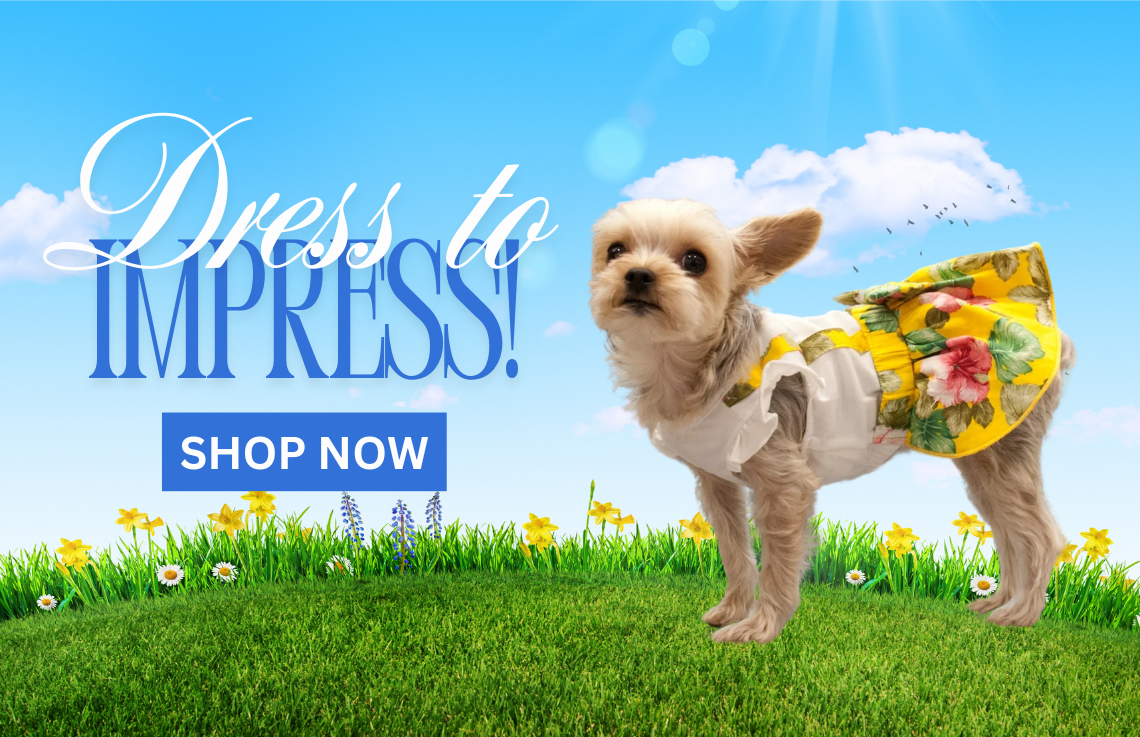 Luxury Dog Boutique - Dog Clothes Accessories Posh Puppy Boutique