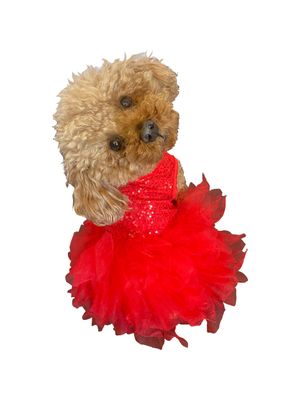 Grand Entrance Allover Sequins Tutu in Red – Posh Puppy Boutique USA ...