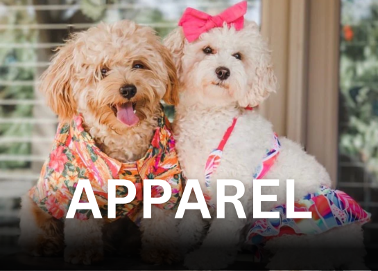 Luxury Dog Boutique - Dog Clothes Accessories Posh Puppy Boutique