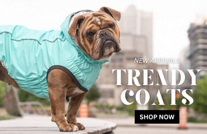 Luxury Dog Boutique - Dog Clothes Accessories Posh Puppy Boutique