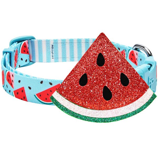 Zesty Fruit Dog Collar- Watermelon - Posh Puppy Boutique